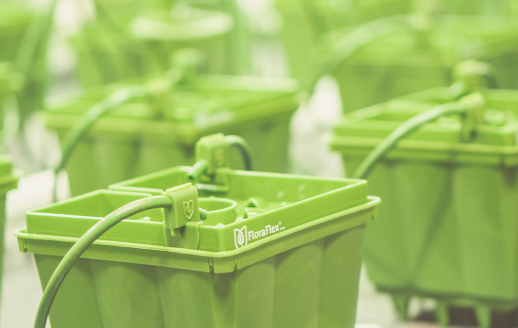 The Best Hydroponics System for Indoor Cannabis: A Complete Guide